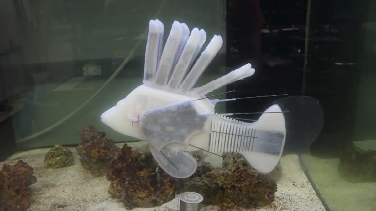 ‘Robotic blood’ powers and propels synthetic lionfish | Penn Today