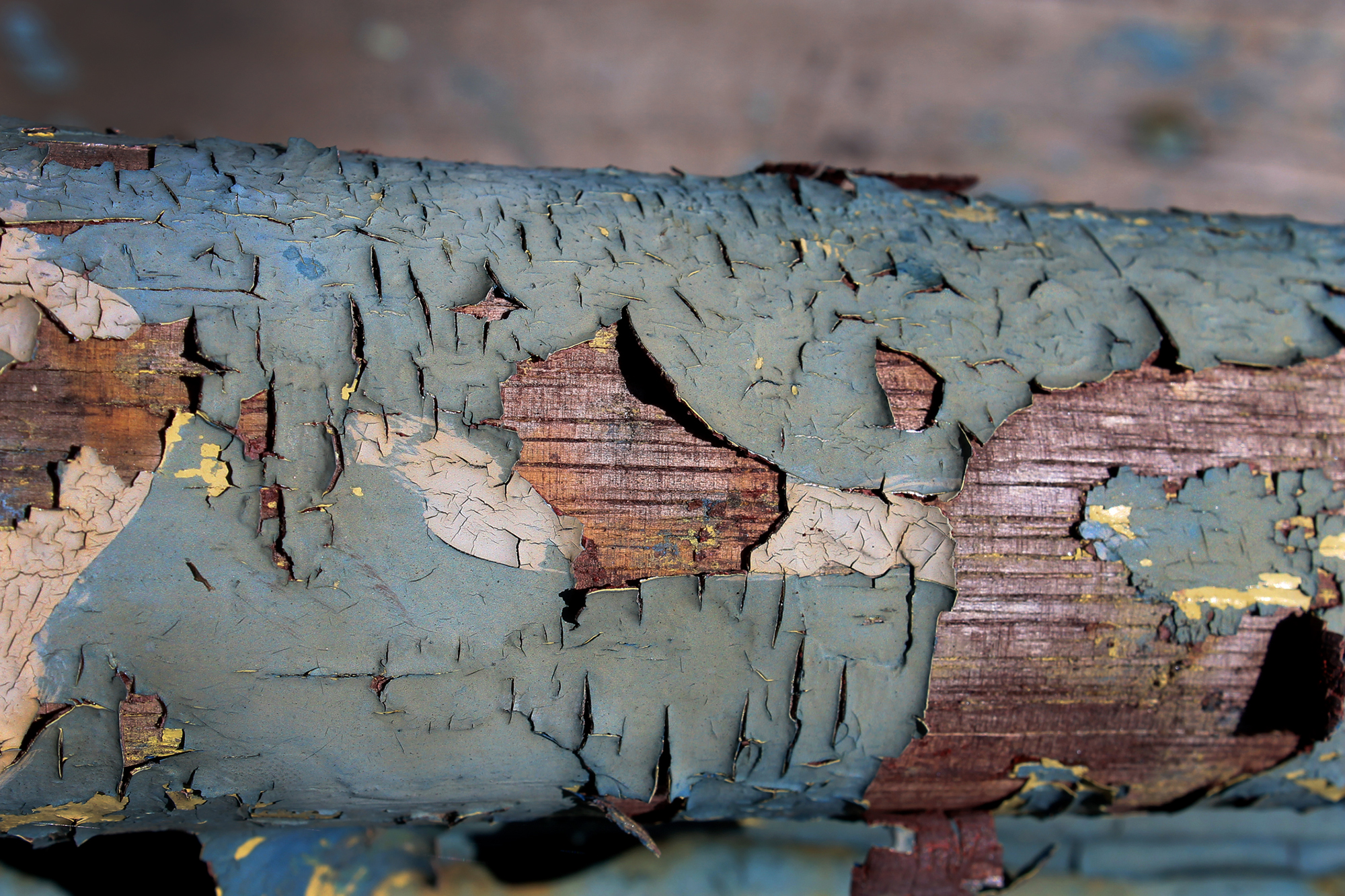 Shining a light on the dangers of lead | Penn Today