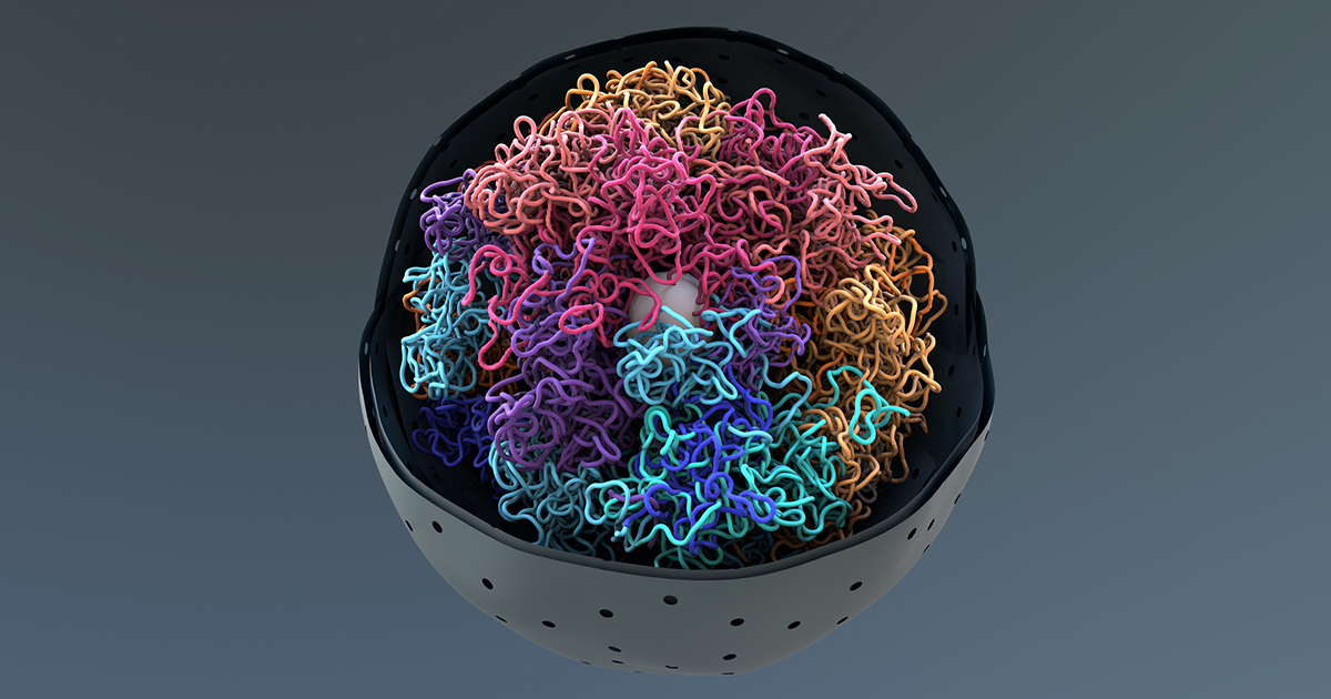 Mysterious ‘nuclear speckle’ cell structures may help block cancers ...