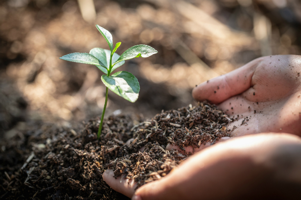 Earth Week | Penn Today