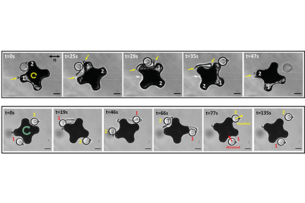Tiny swimming robots can restructure materials on a microscopic level ...