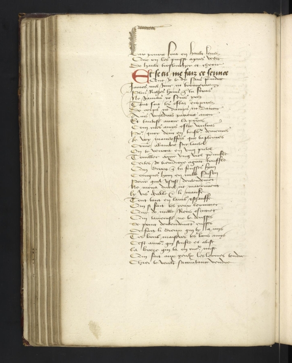 Roman de la Rose | Penn Today