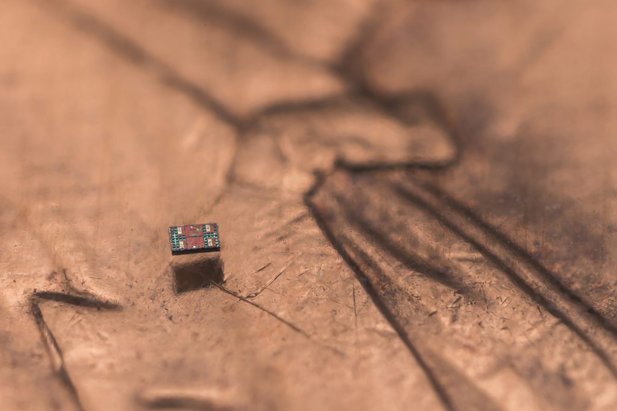 The world’s smallest programmable, autonomous robots | Penn Today
