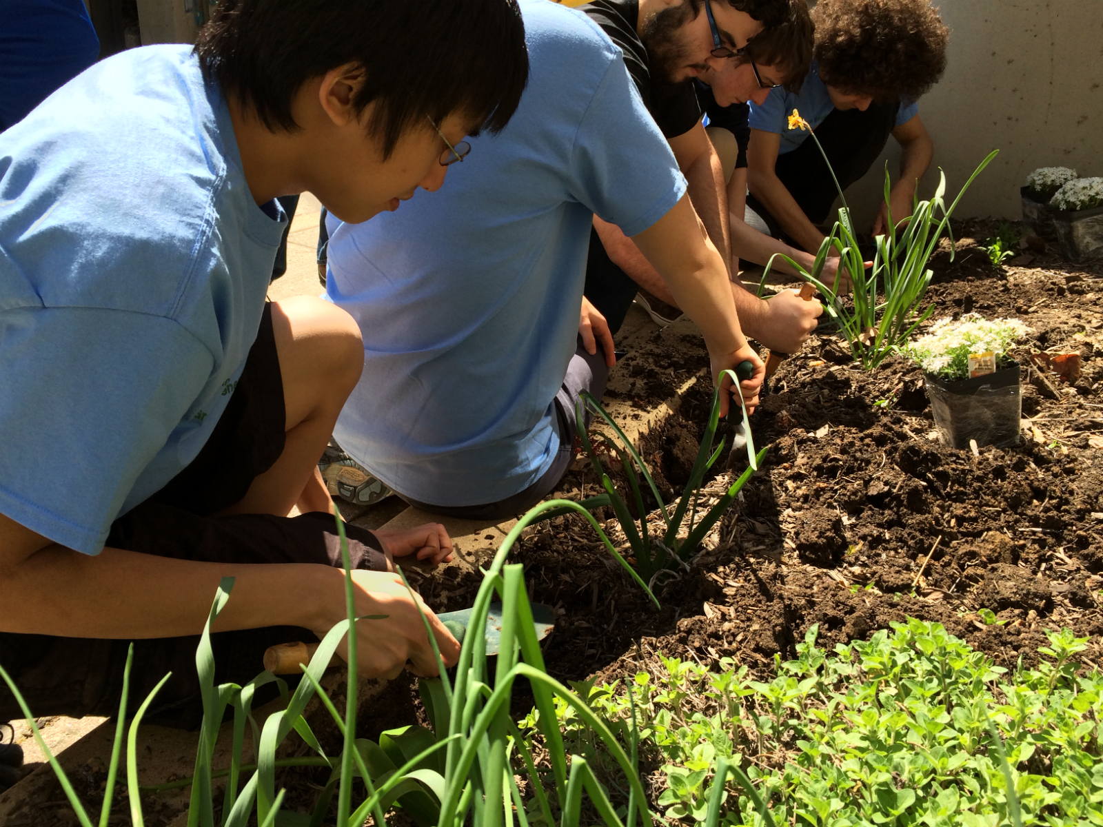 Garden Club Lets Nature Bloom in Penn’s Kings Court English College ...