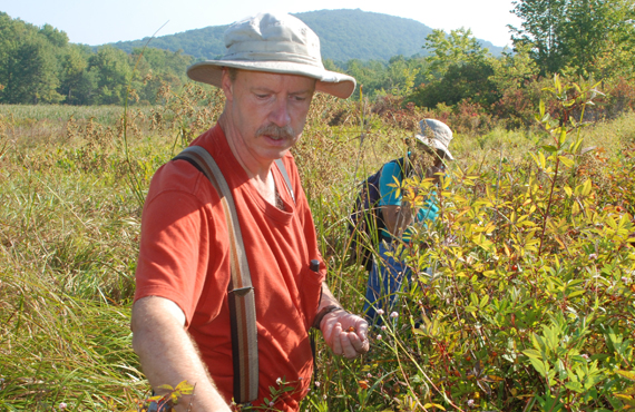 Director of Botany at Penn's Morris Arboretum Receives Environmental ...