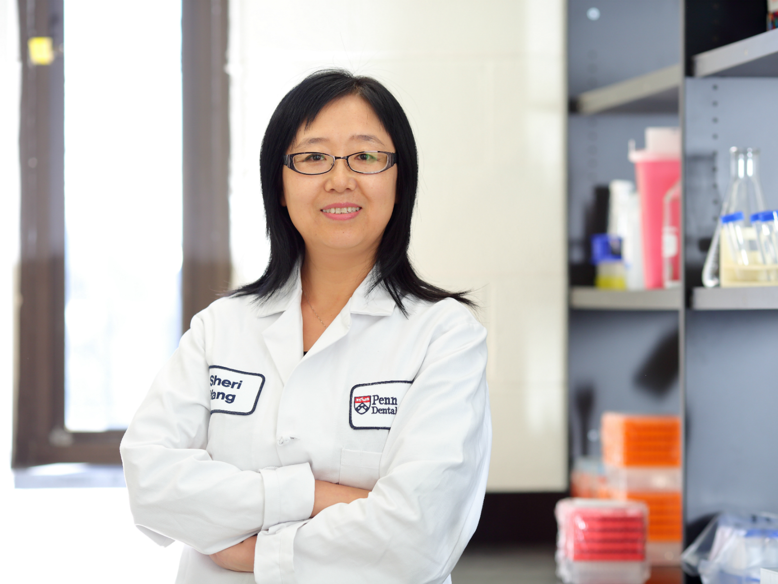 Penn Dental Professor Shuying Yang Explores Bone Development and ...