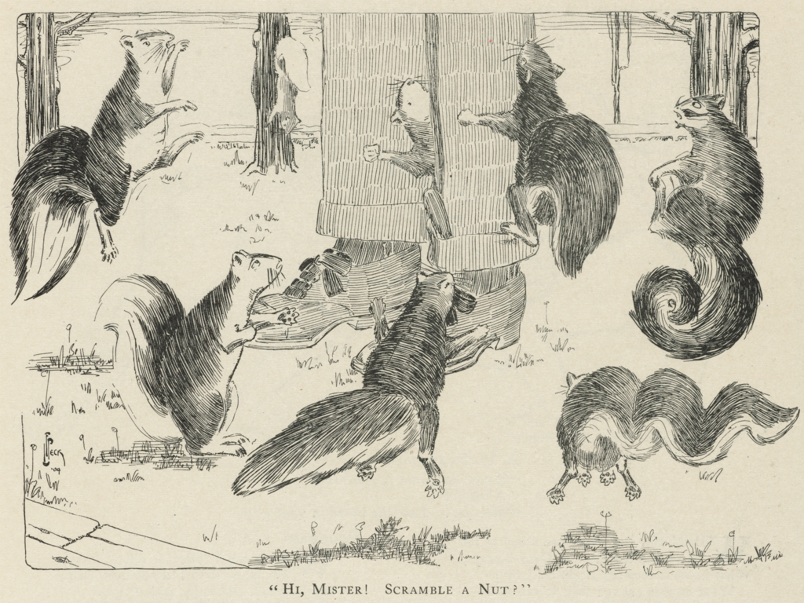 Historian Etienne Benson to Discuss Urban Squirrels at Penn Science ...